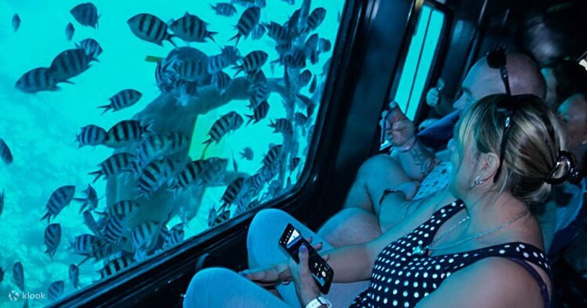 赫尔格达潜水艇之旅 探索红海的海洋生物 Klook客路